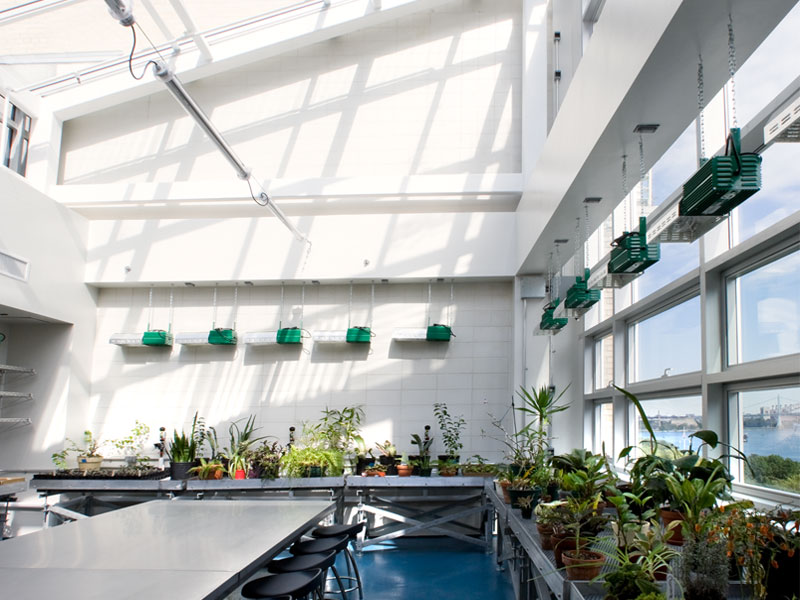 The Chapin School | Independent International School Network