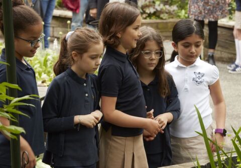 Trinity School | Independent International School Network